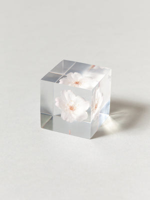 The Sola Cube Collection