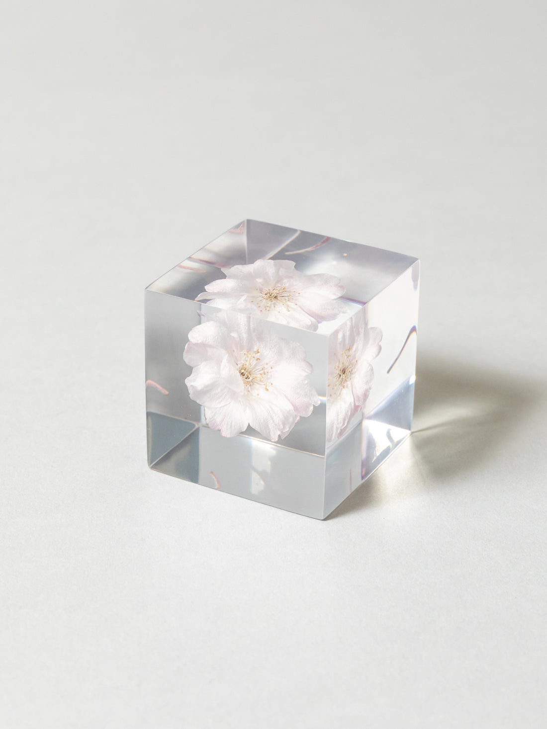 The Sola Cube Collection