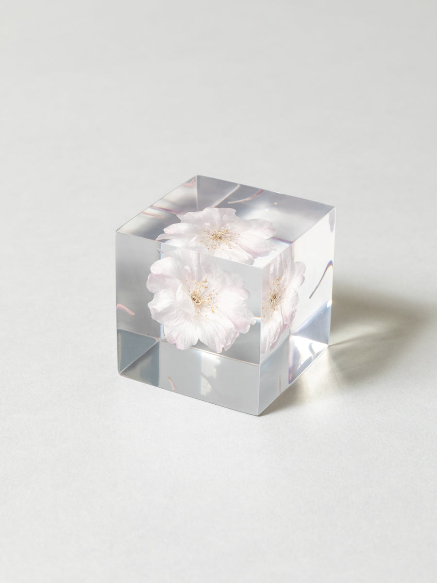 The Sola Cube Collection