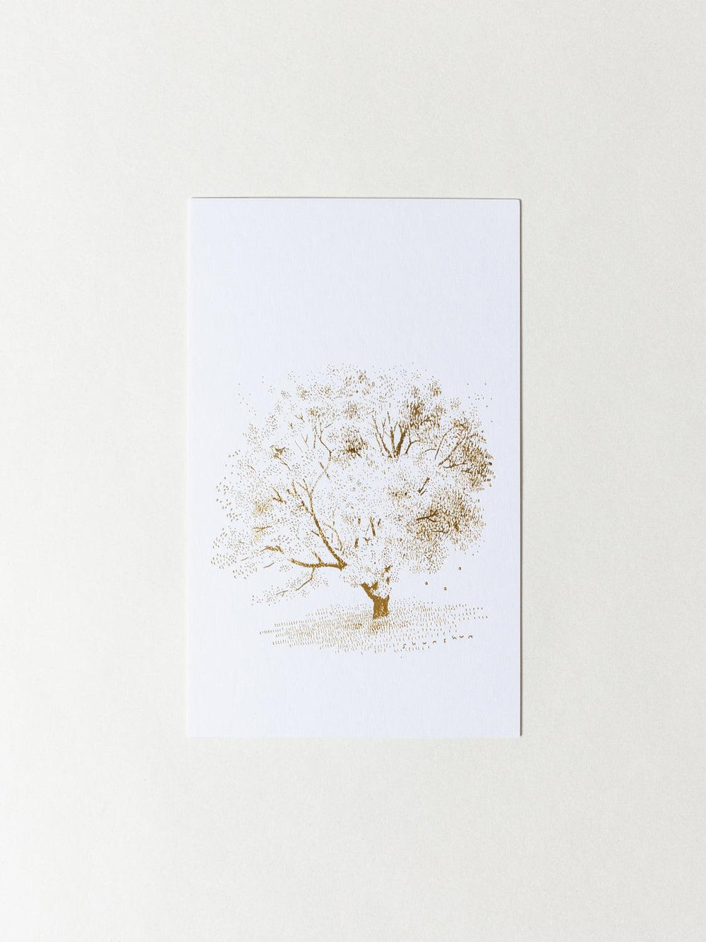 Shunshun Postcard - Shining Tree
