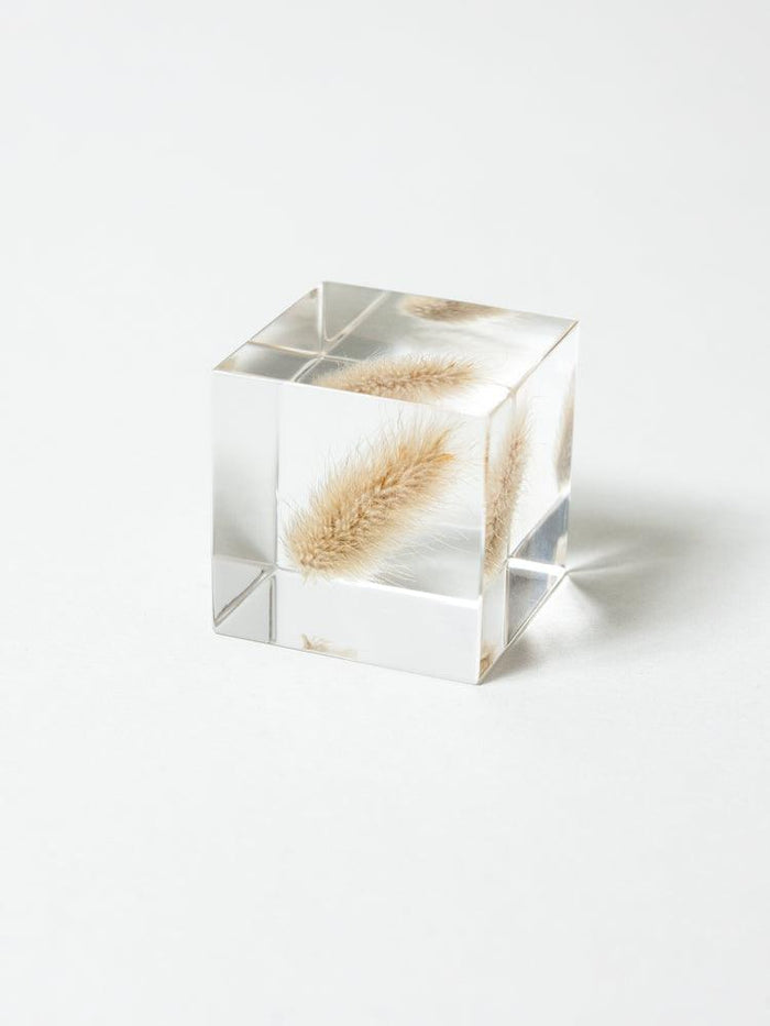 The Sola Cube Collection