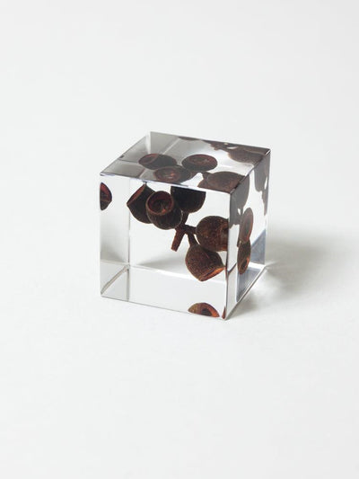 The Sola Cube Collection