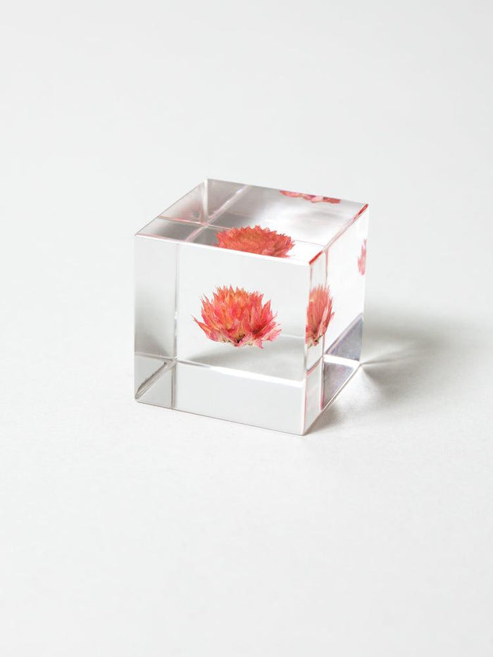 The Sola Cube Collection