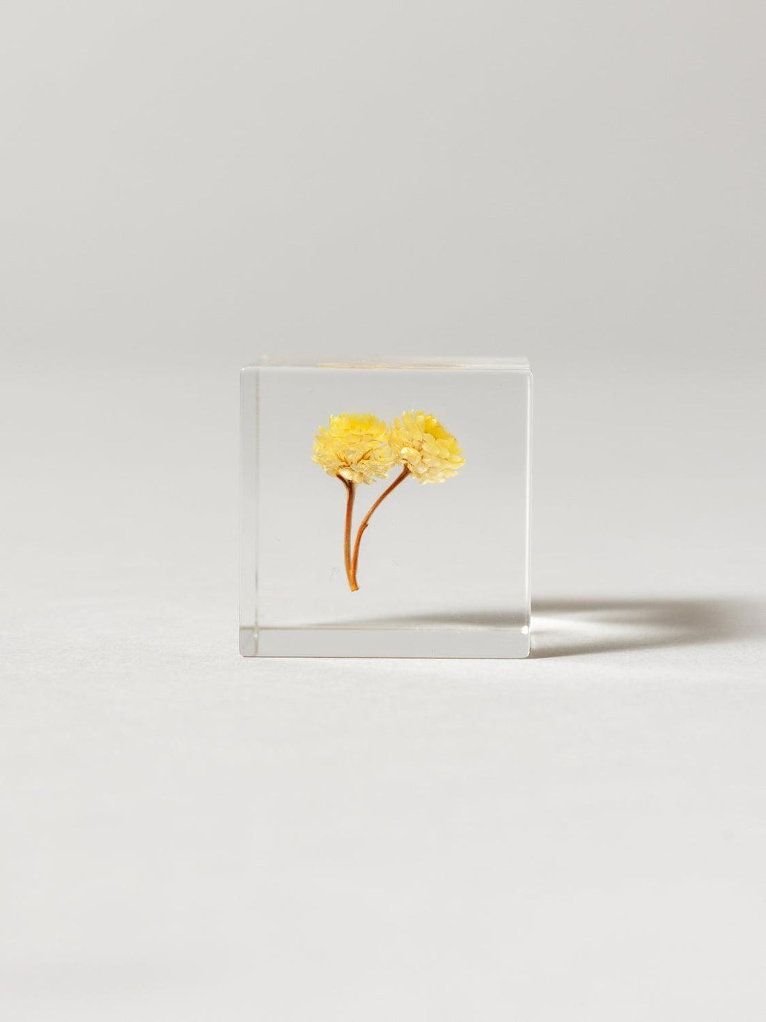 The Sola Cube Collection