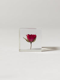 The Sola Cube Collection